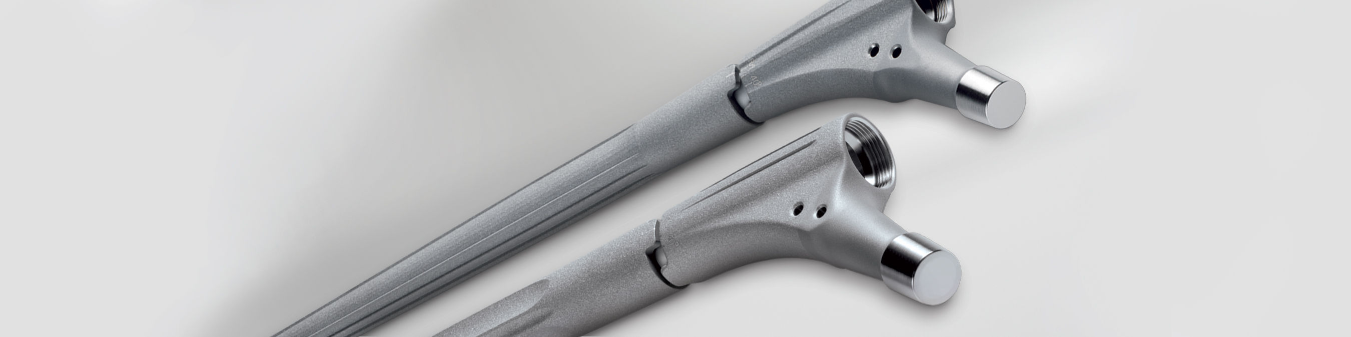 Revitan® Revision Hip System